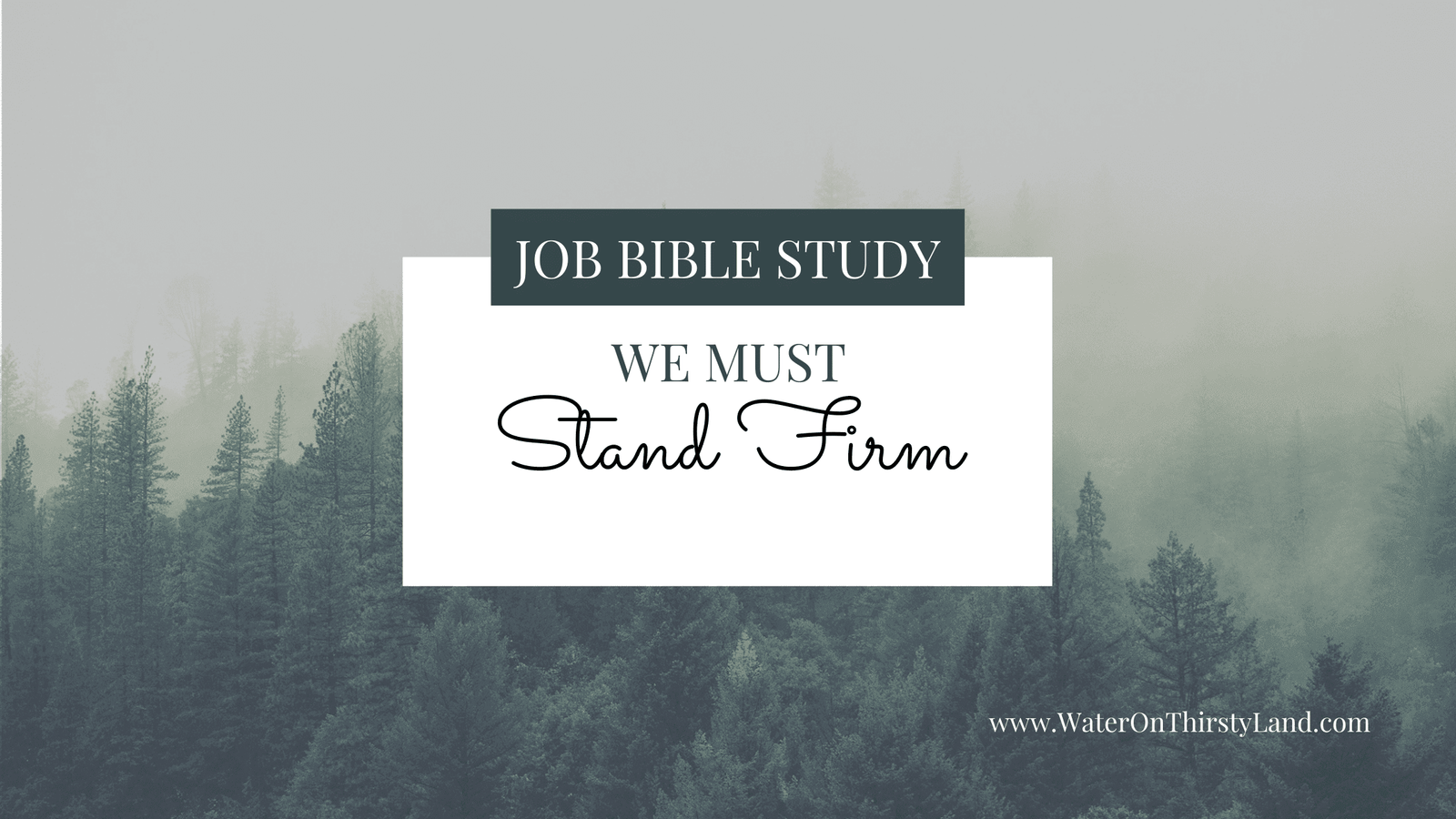 We Must Stand Firm | Job Devotional | Water on Thirsty Land