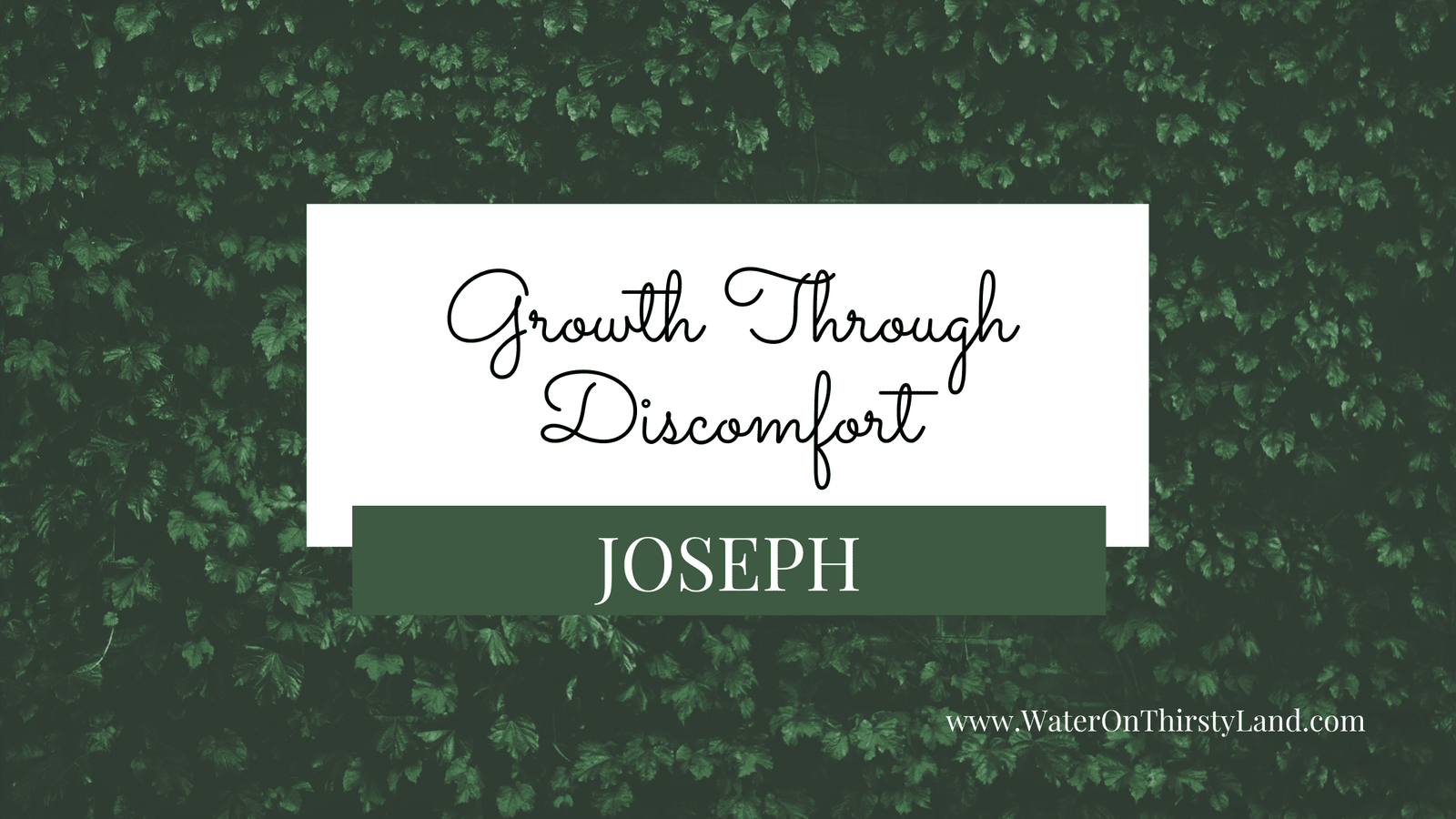 Growth through Discomfort Series | Water on Thirsty Land