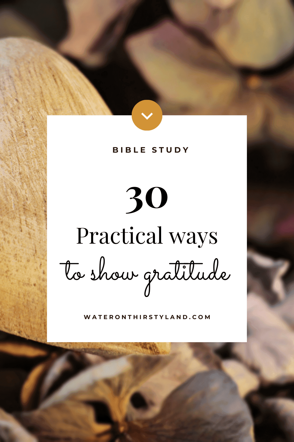 30 practical ways to show gratitude | Water on Thirsty Land