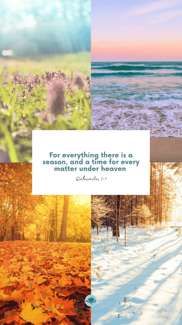 Ecclesiastes 3:1 Wallpapers | Water on Thirsty Land