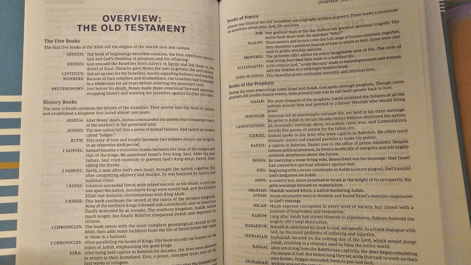Is the NIV Student Bible a good study Bible for youth? | Water on ...